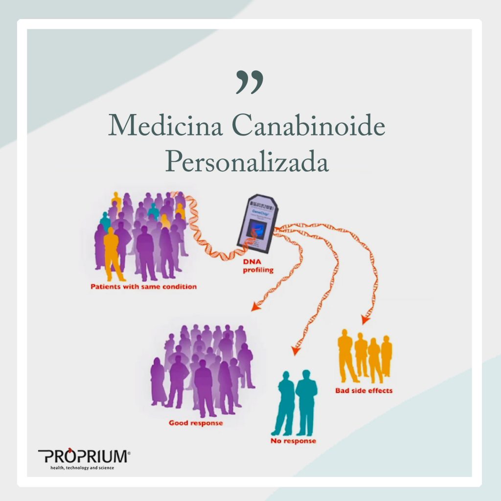 Como Determinar A Melhor Dose de Cannabis: A Medicina Canabinoide ...